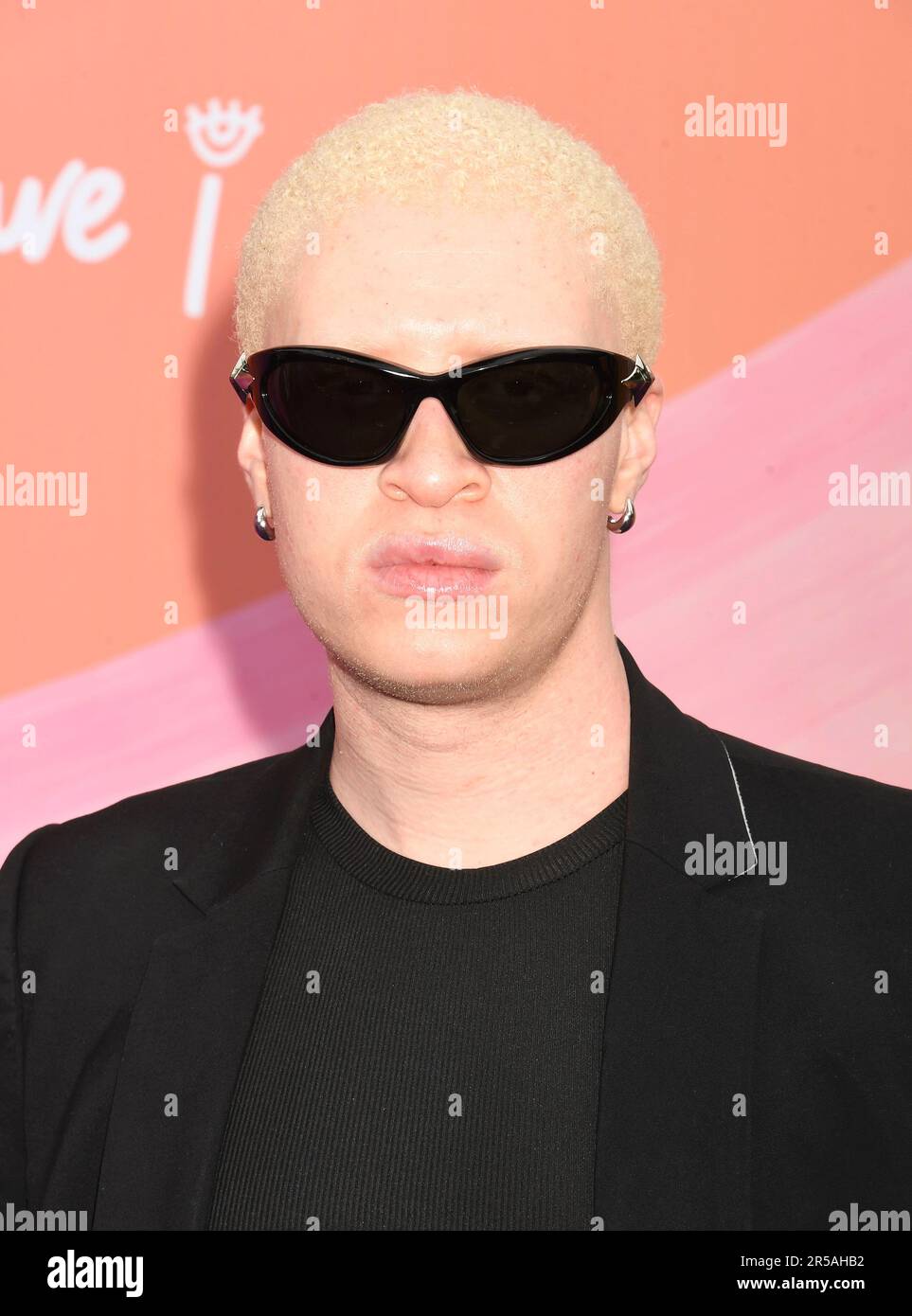 LOS ANGELES, CA - JUNE 01: Shaun Ross attends Netflix's "Never Have I ...