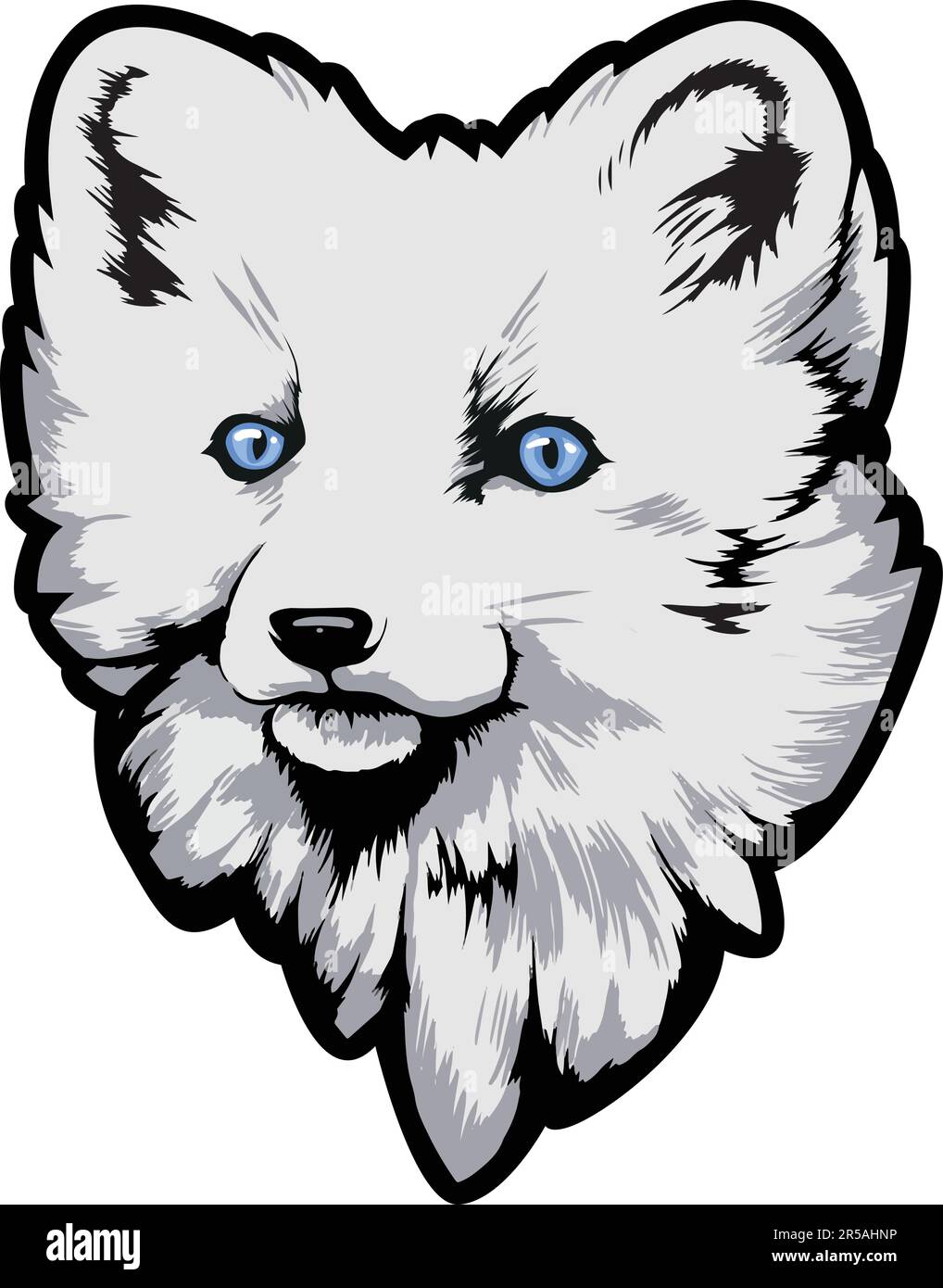 Fox face illustration Cut Out Stock Images & Pictures - Alamy