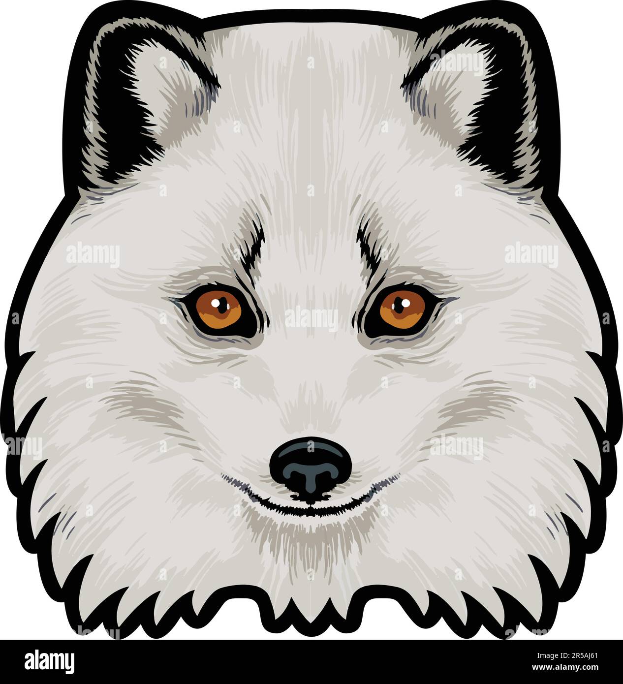 Fox Face Illustration. Wild. Forest. Vector Stock Vector Image & Art ...