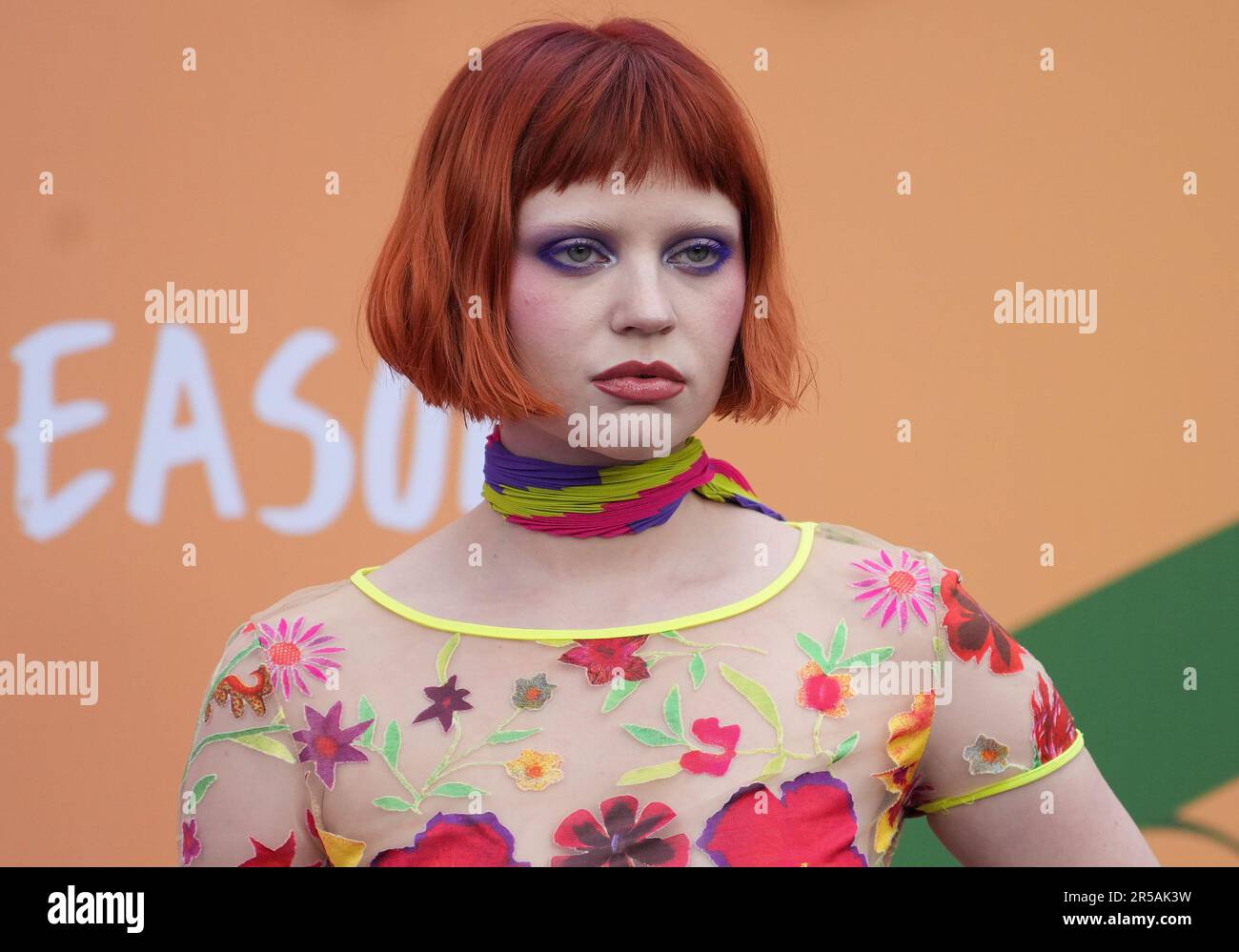 Los Angeles, USA. 01st June, 2023. Sierra McCormick arrives at Netflix ...