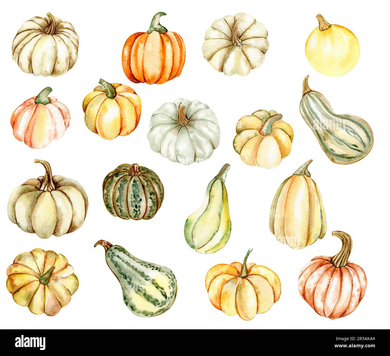Fall set with pumpkins. For cards, backgrounds. Watercolor illustration ...