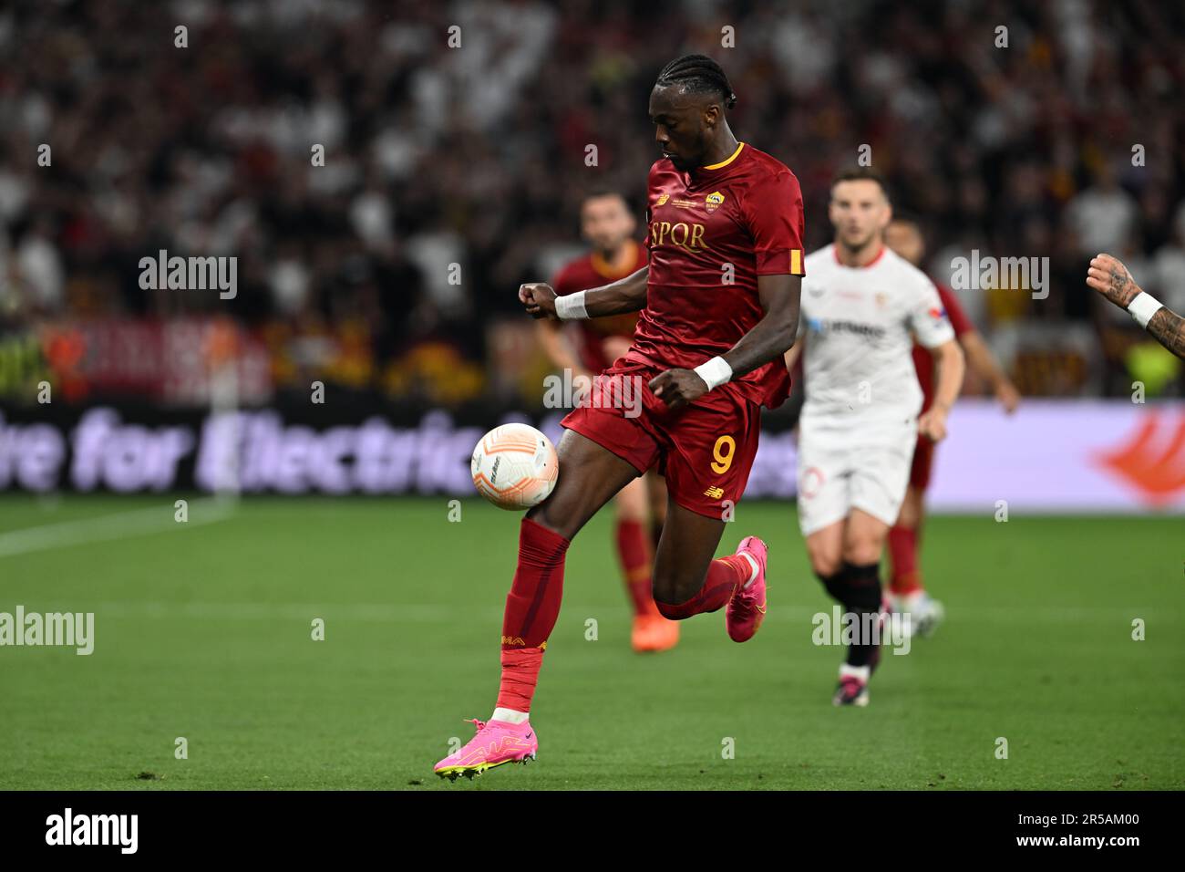 Arena tammy hi-res stock photography and images - Alamy