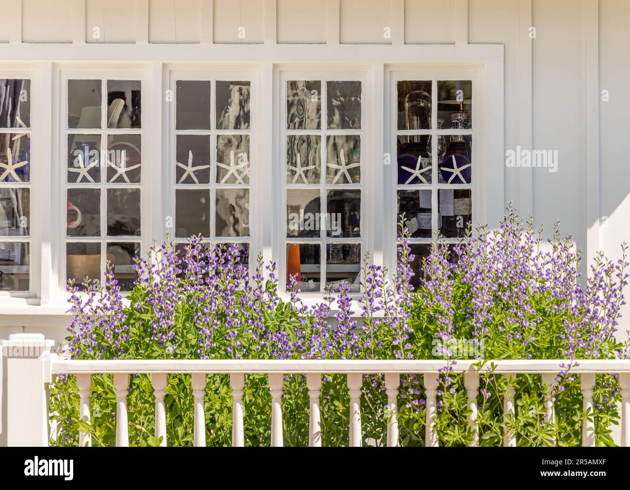 Detail image of a sag harbor store with starfish in the windows Stock ...