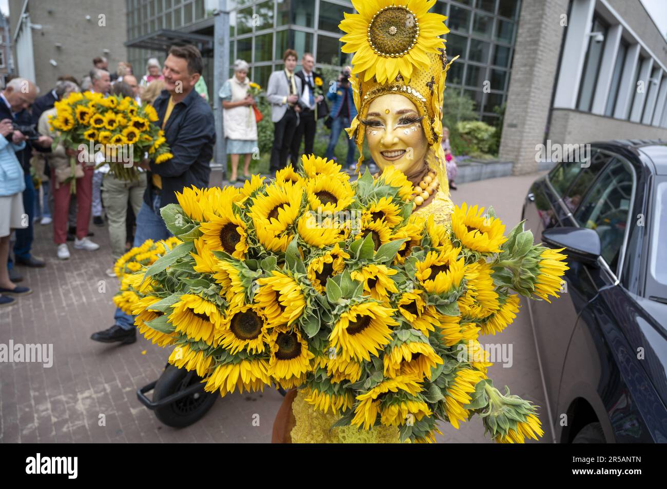 AMSTERDAM - Sunflowers are distributed during the Sunflower Festival on ...
