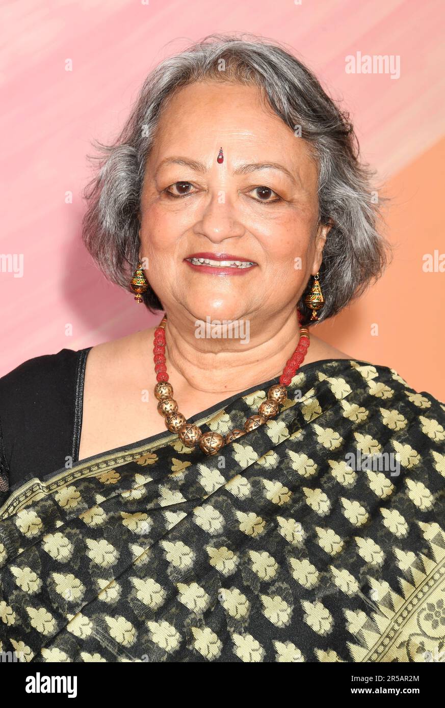LOS ANGELES, CA - JUNE 01: Ranjita Chakravarty attends Netflix's "Never ...