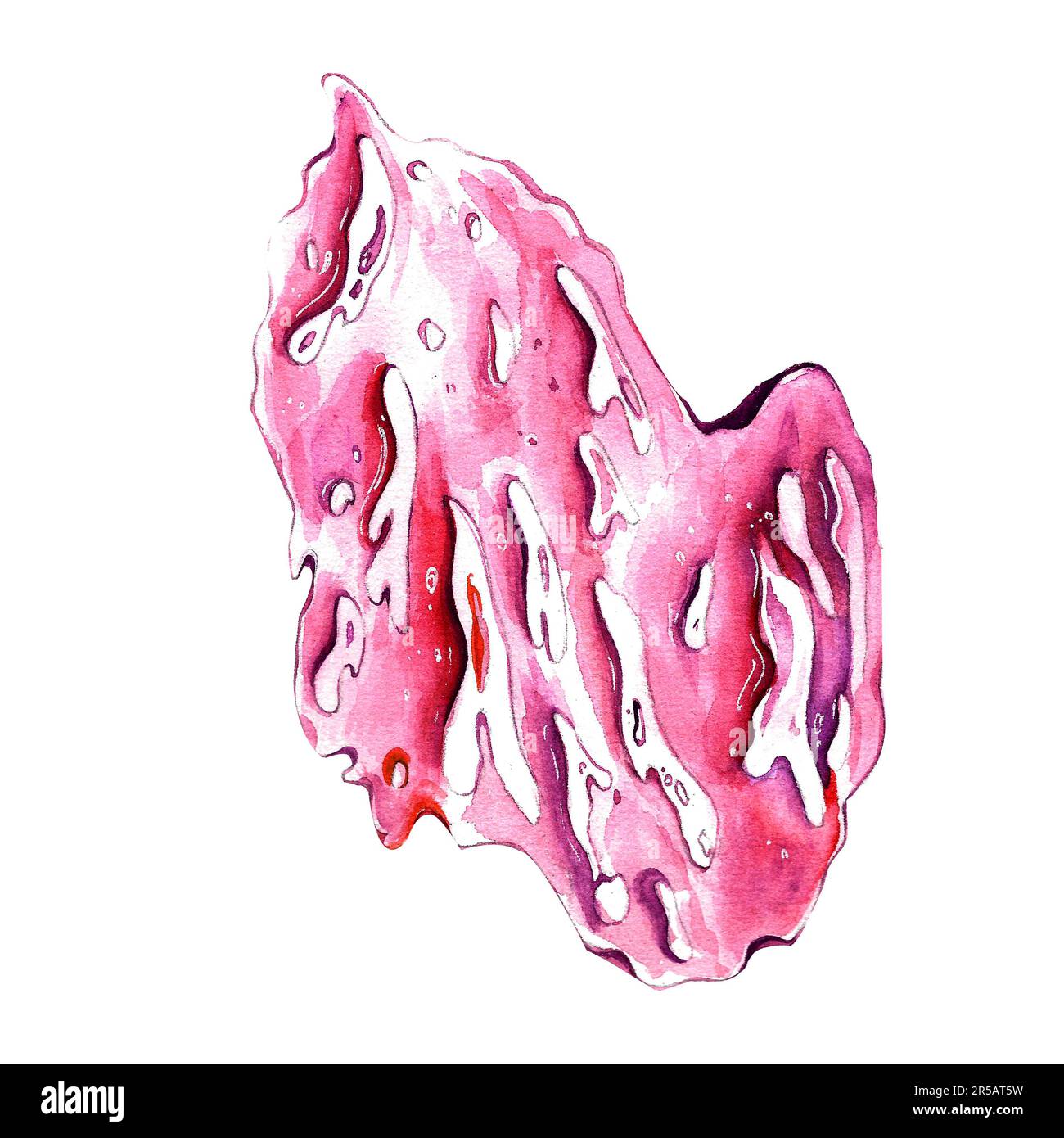 a set of watercolor elements. juicy raspberries with leaves. for ...