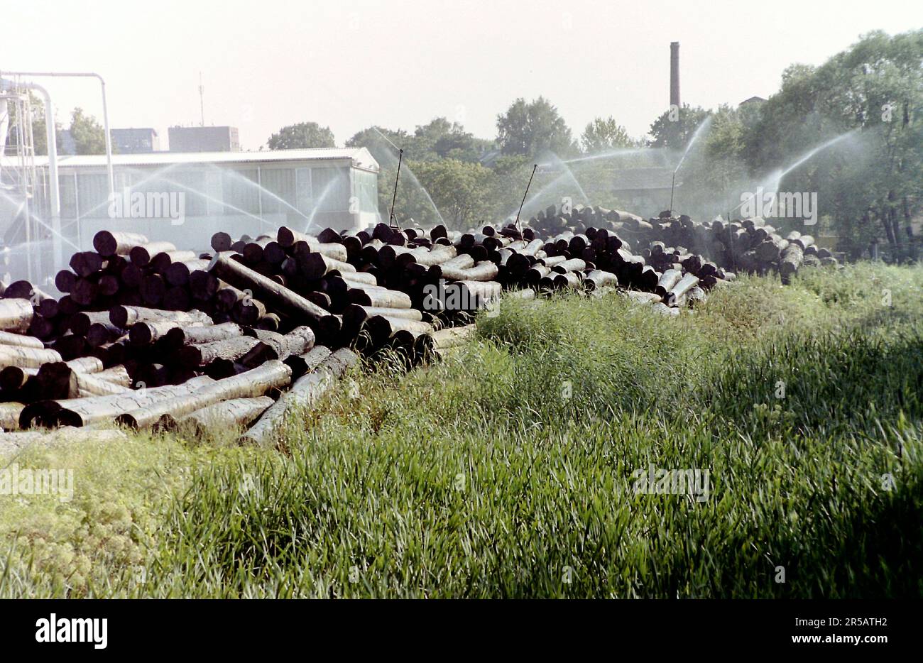 Irrigation of logs of valuable species of wood - sprinkling of timber ...