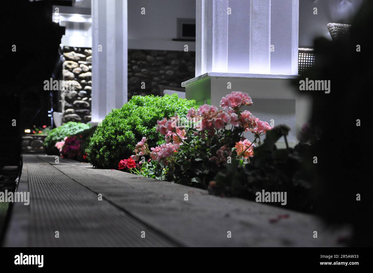 Flower bed near a ledge in the night Stock Photo - Alamy