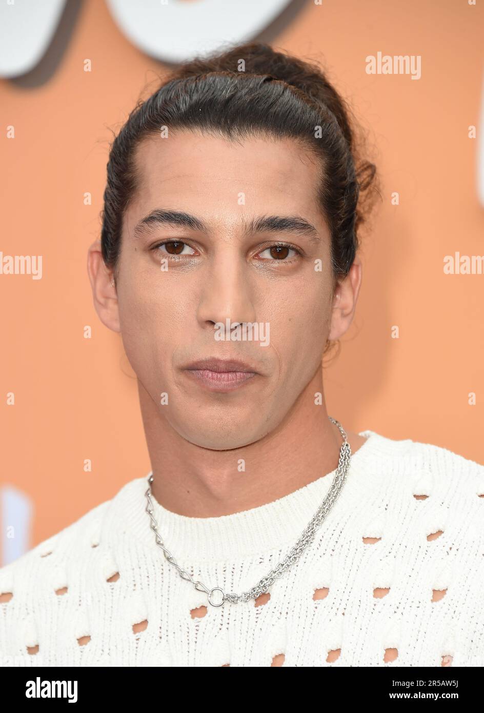 Westwood, USA. 01st June, 2023. Benjamin Norris arriving to Netflix's ...