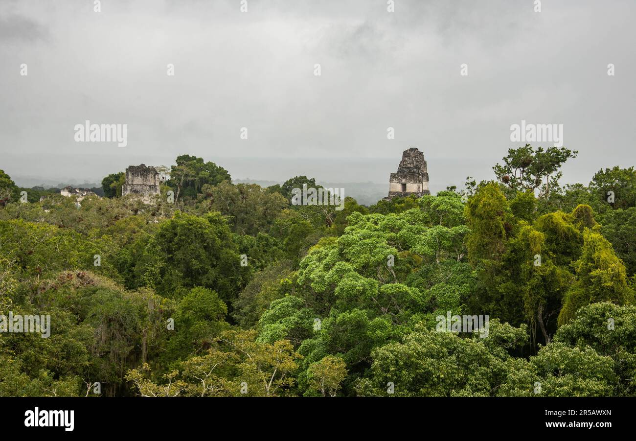 Temple IV rises above the jungle at Tikal National Park, Petén ...