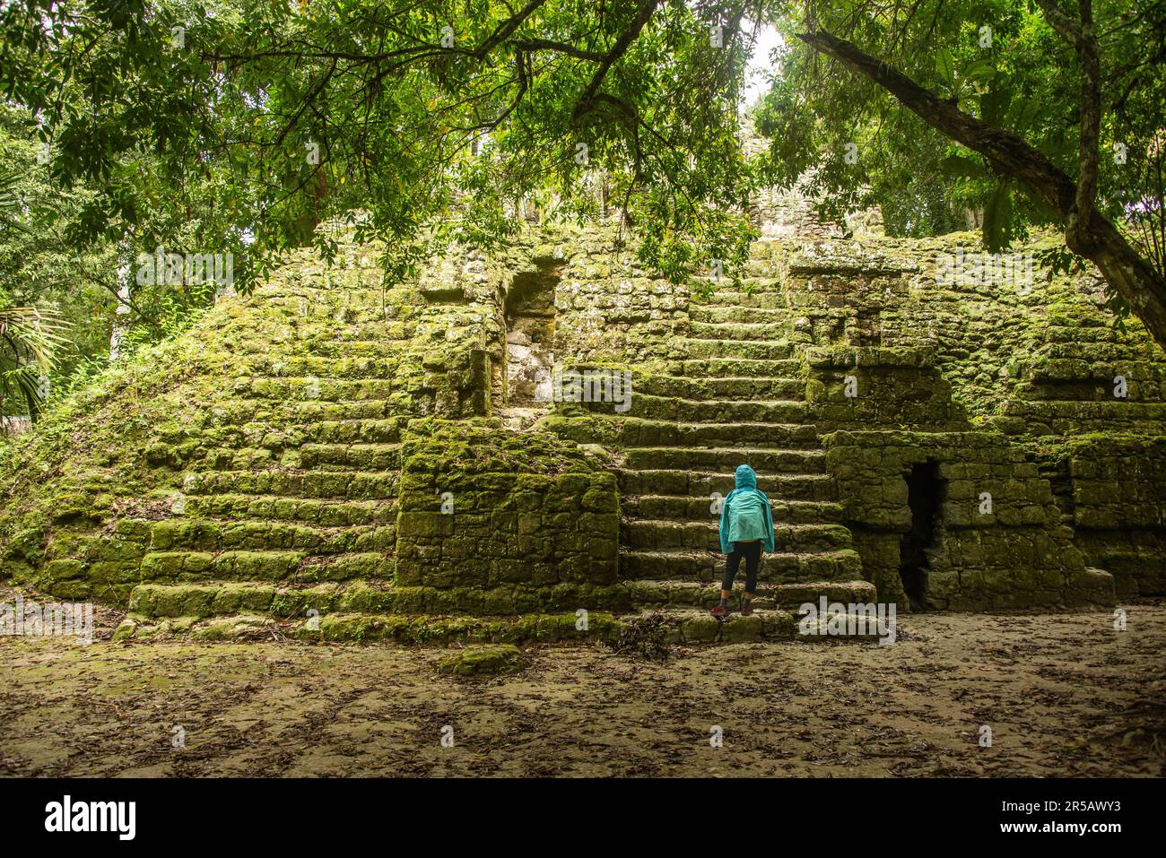 Gazing up at Temple V at Tikal National Park, Petén, Guatemala Stock ...