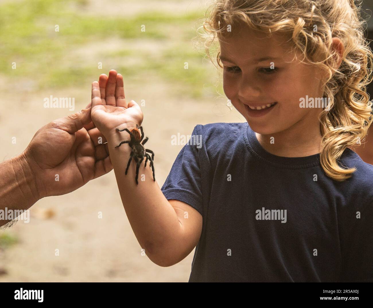 Blond girl enjoying a tarantula, Tikal National Park, Petén, Guatemala ...