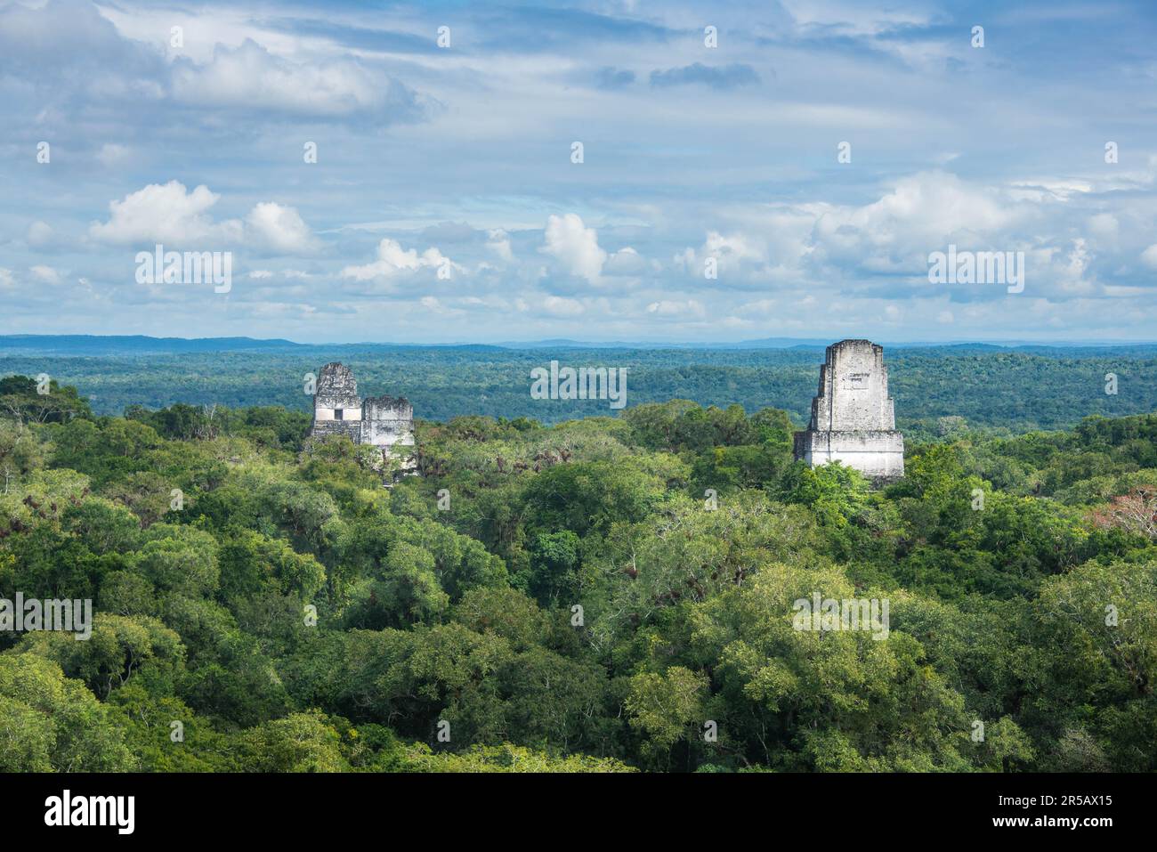 Temple IV rises above the jungle at Tikal National Park, Petén ...
