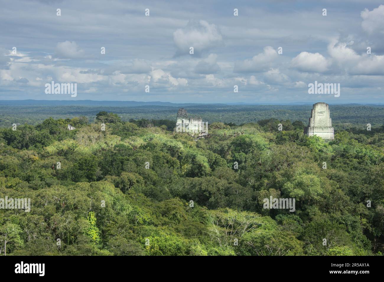 Temple IV rises above the jungle at Tikal National Park, Petén ...