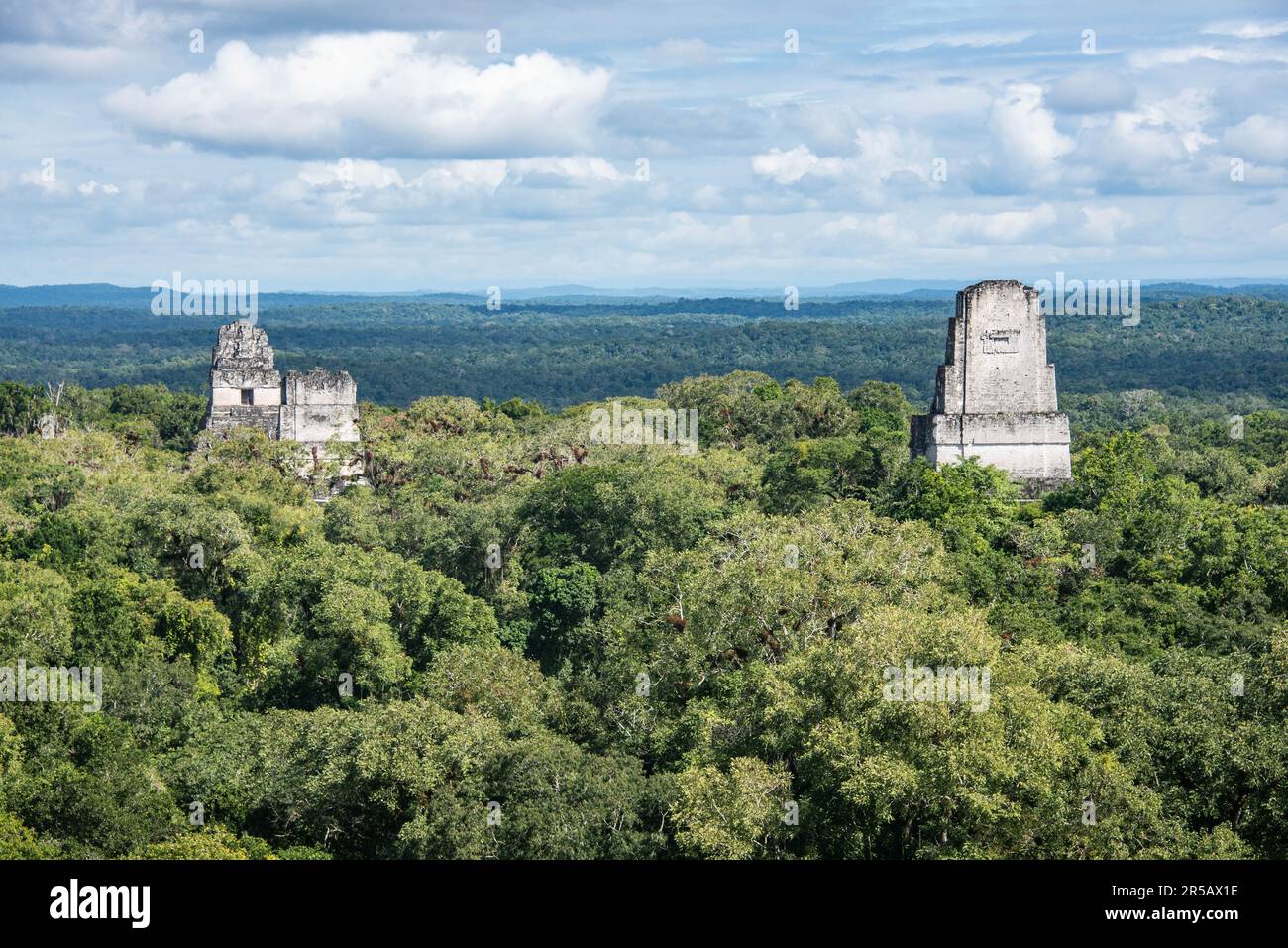 Temple IV rises above the jungle at Tikal National Park, Petén ...