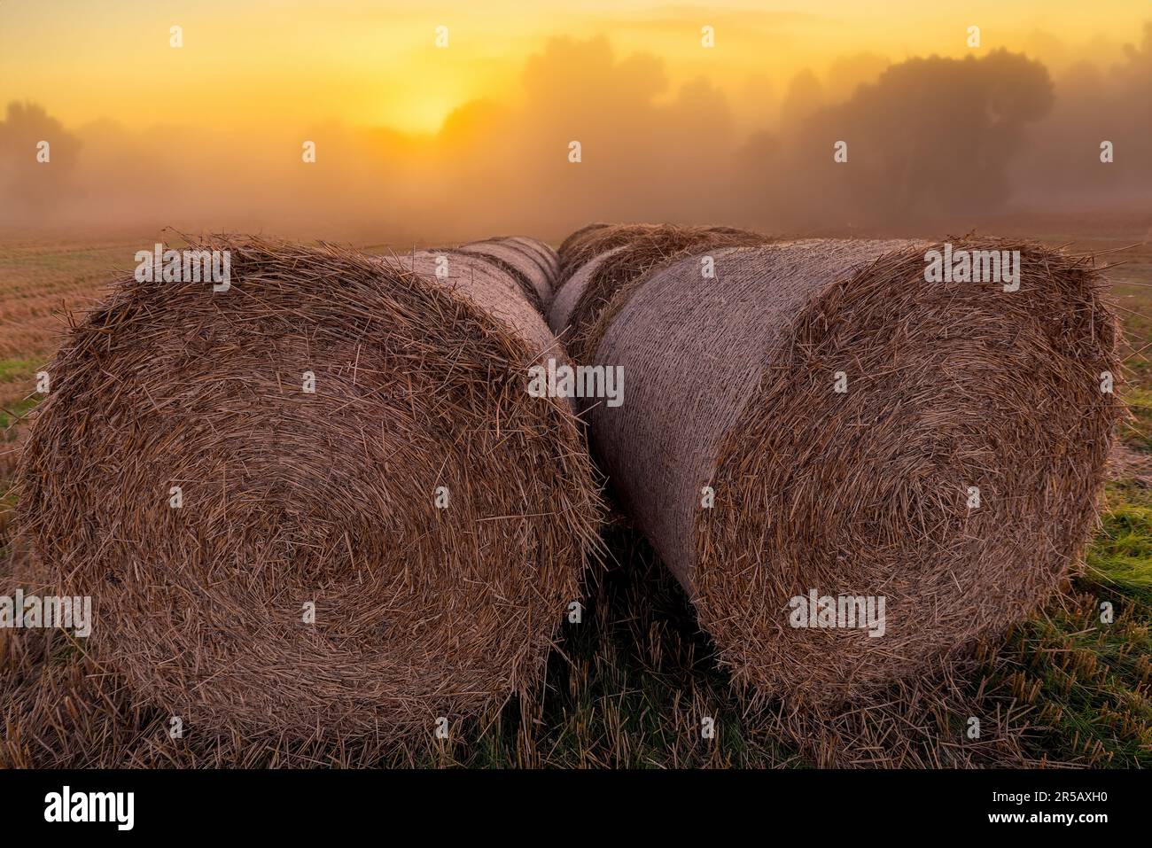 Hay bale bales haystack haystacks hi-res stock photography and images ...