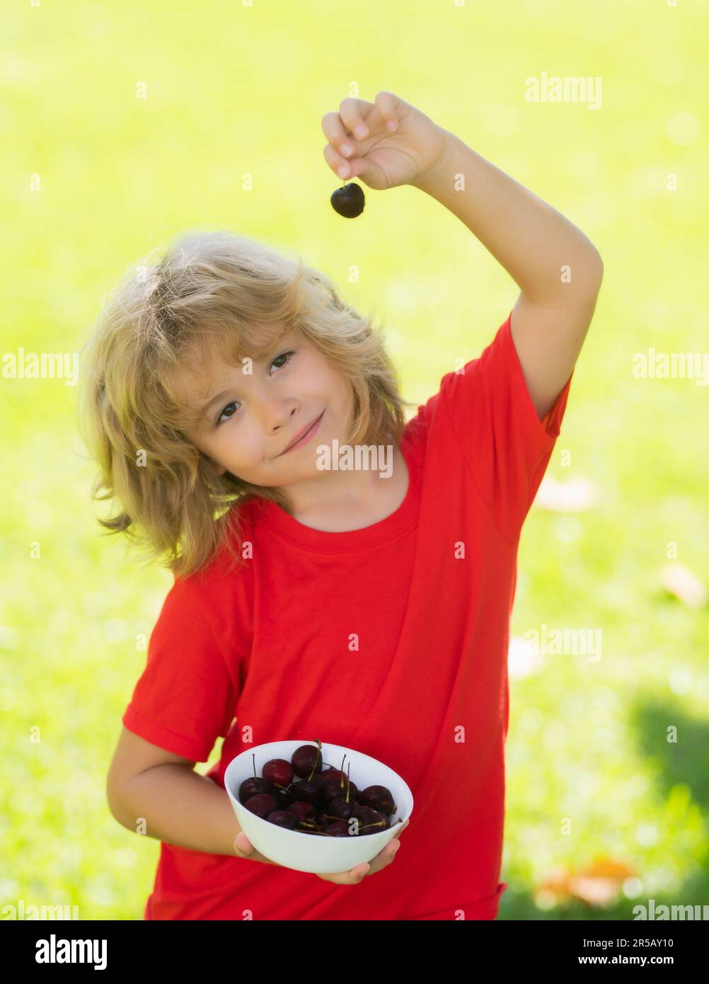 Cherry and cute child. Cherry fot kids. Happy kid eating ripe, sweet ...