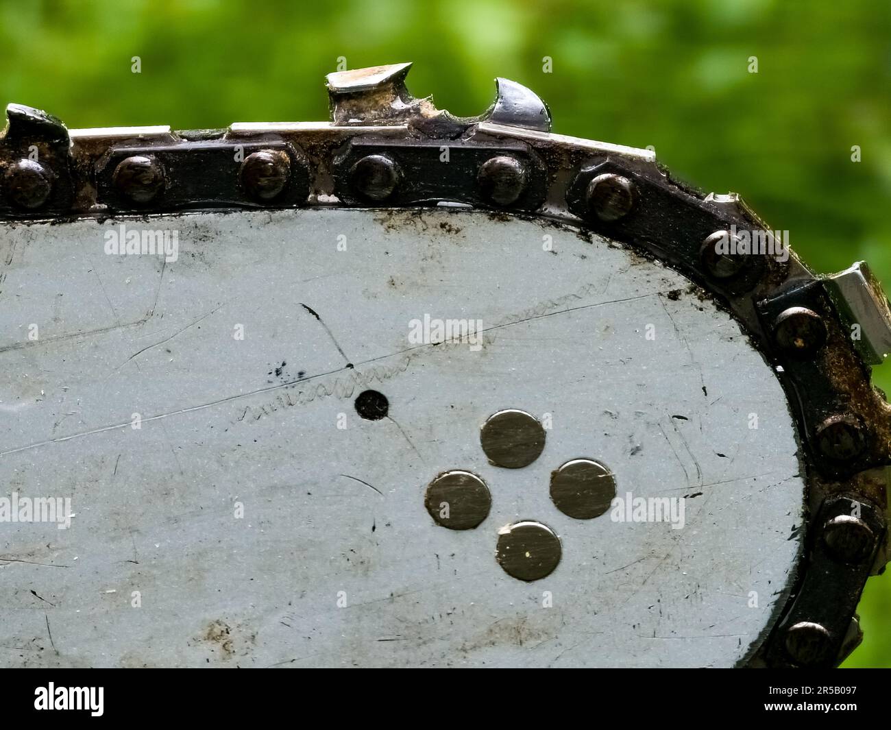 Sharpened sharp teeth of an electric saw chain on a blurred green ...