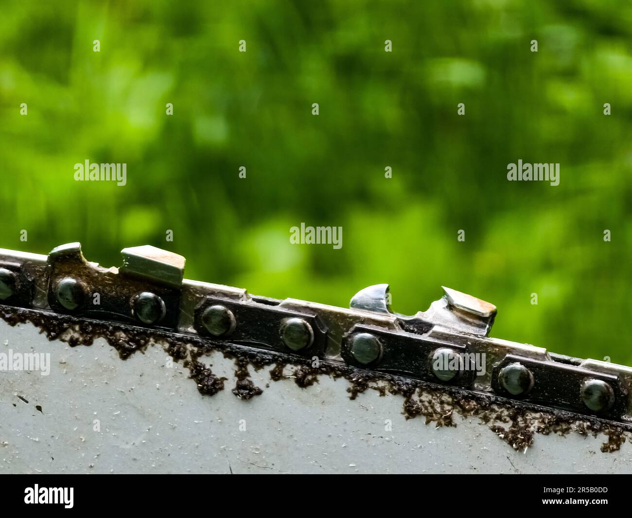 Sharpened sharp teeth of an electric saw chain on a blurred green ...