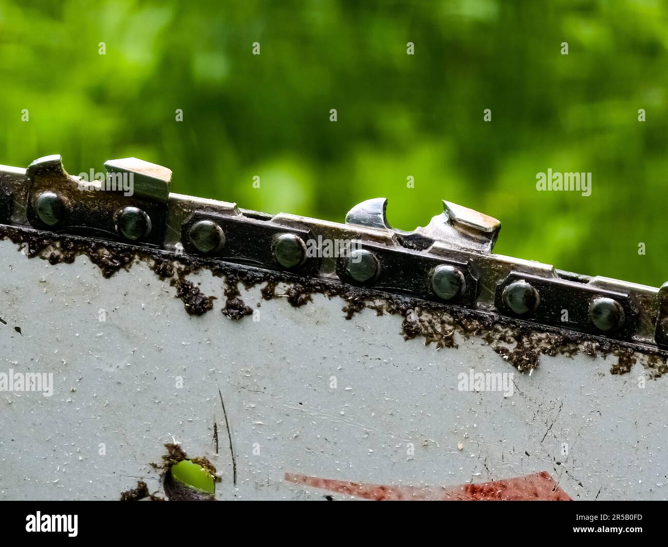 Sharpened sharp teeth of an electric saw chain on a blurred green ...