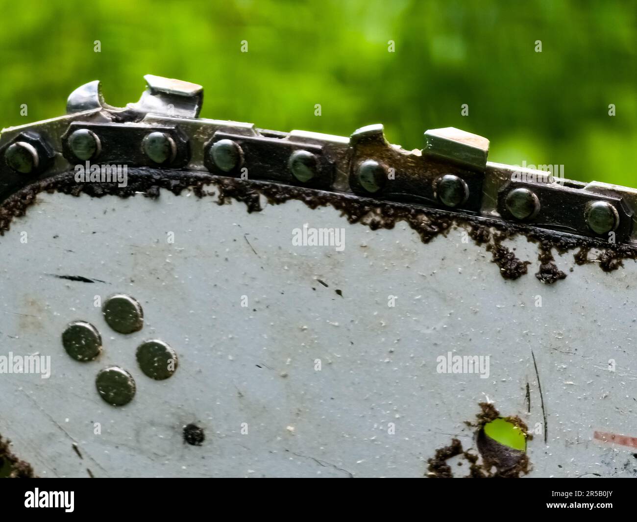 Sharpened sharp teeth of an electric saw chain on a blurred green ...