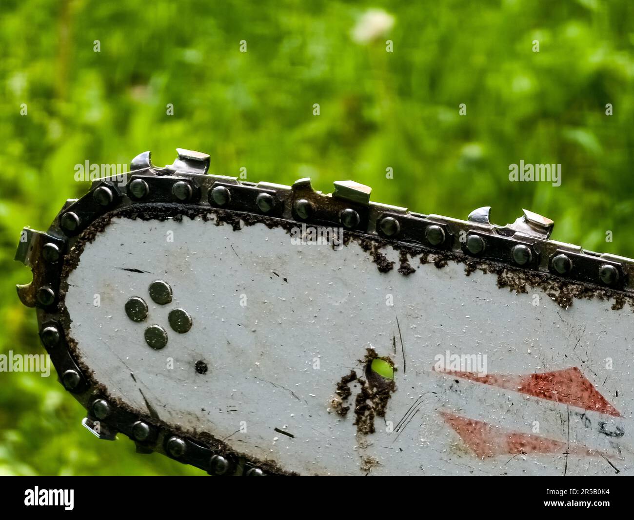 Sharpened sharp teeth of an electric saw chain on a blurred green ...