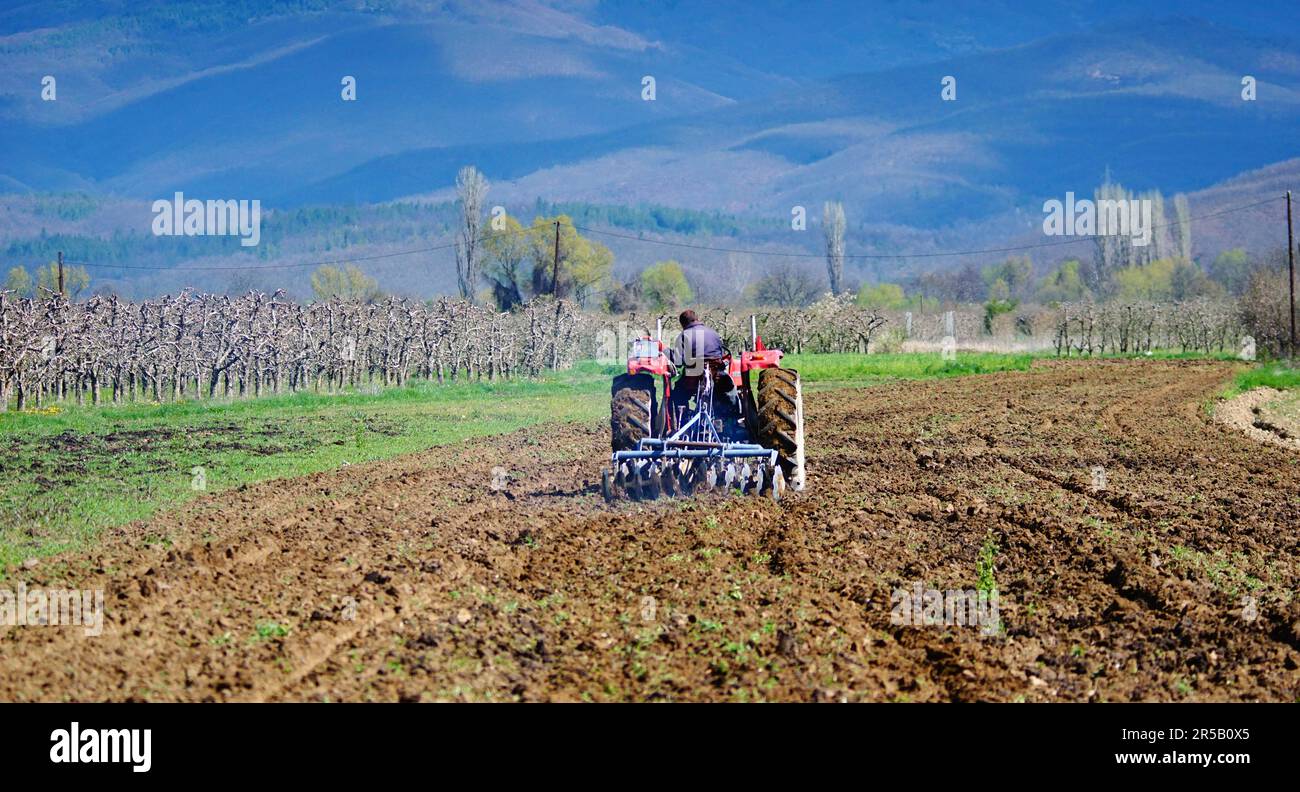 Farm tractor preparing the soil and ranking the field before planting ...