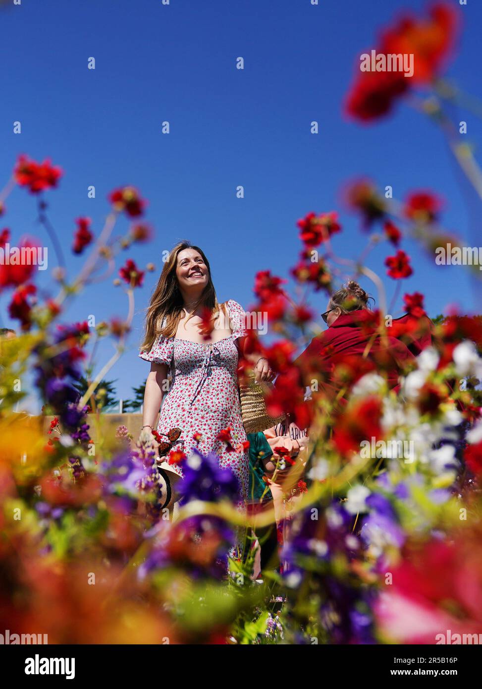 Anna Laribal, from Castleknock, enjoying the displays at the Bloom ...