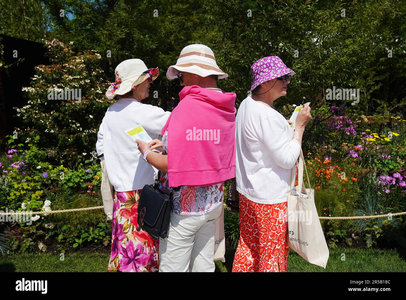 Members of the public view the Marie Keating Fondation's 'Catching ...