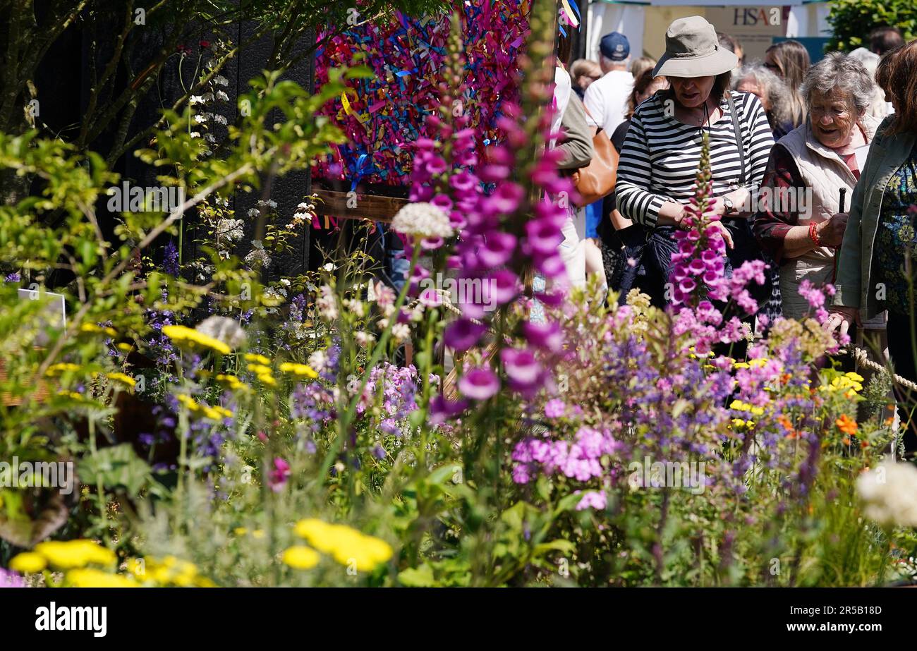 Members of the public view the Marie Keating Fondation's 'Catching ...