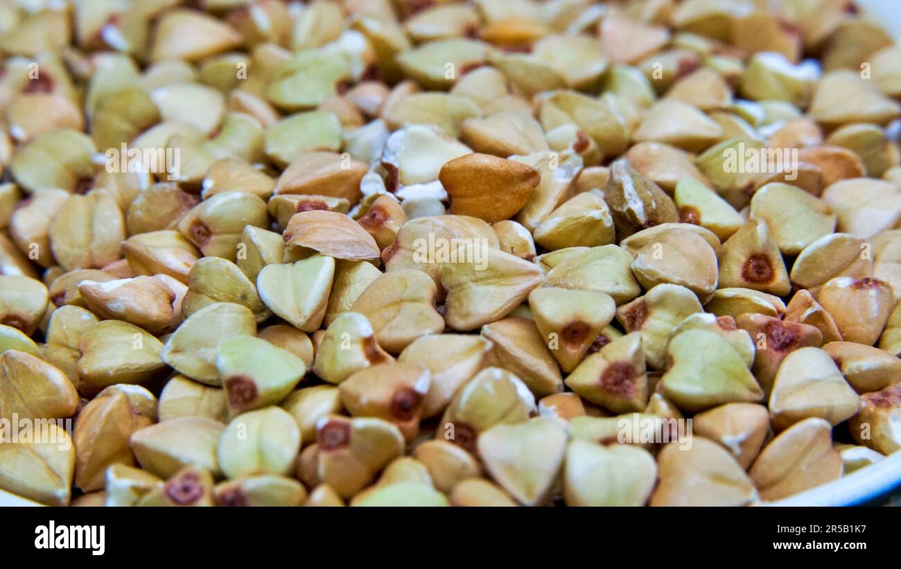 dry buckwheat background. buckwheat texture Stock Photo - Alamy