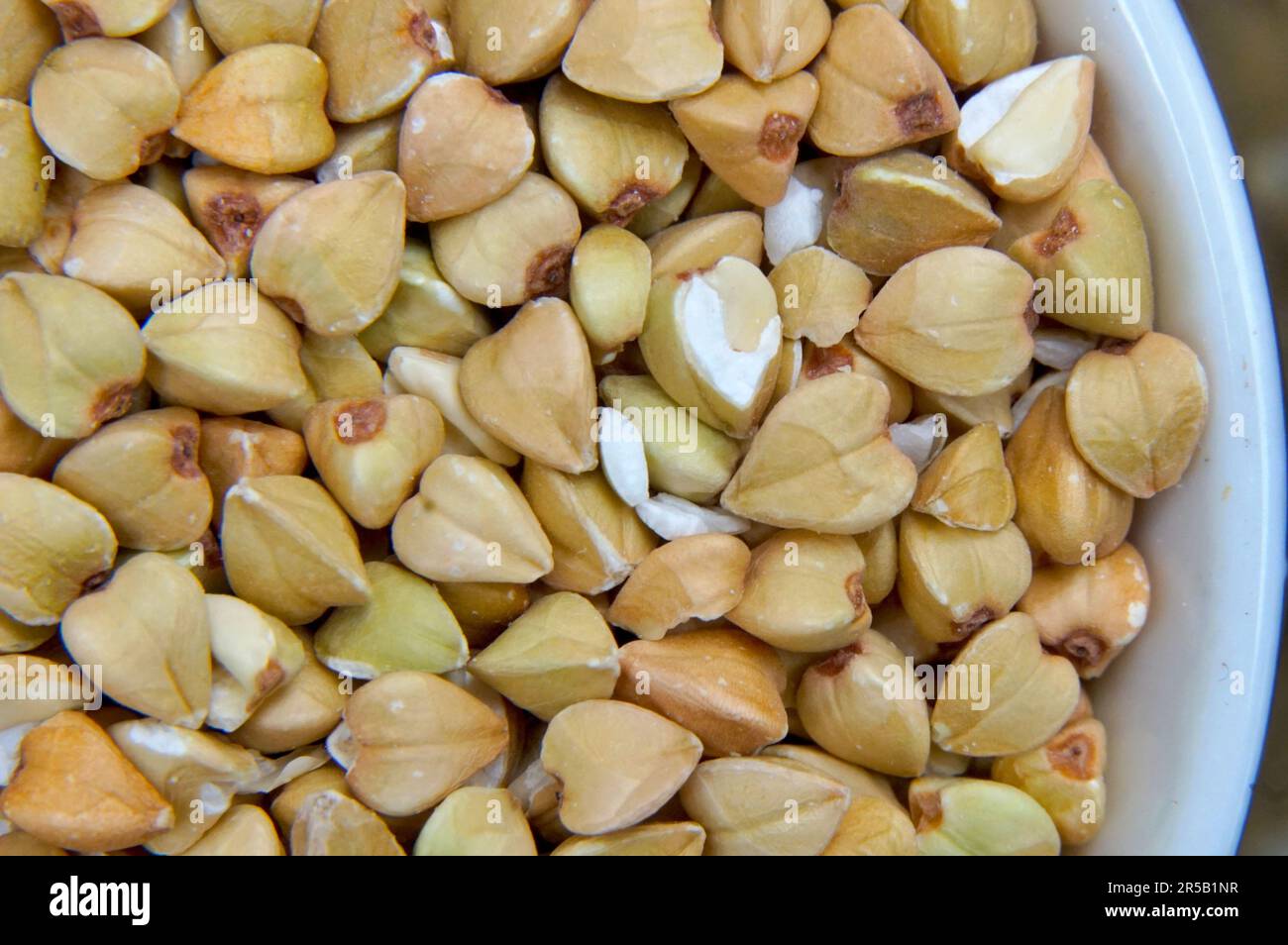 dry buckwheat background. buckwheat texture Stock Photo - Alamy