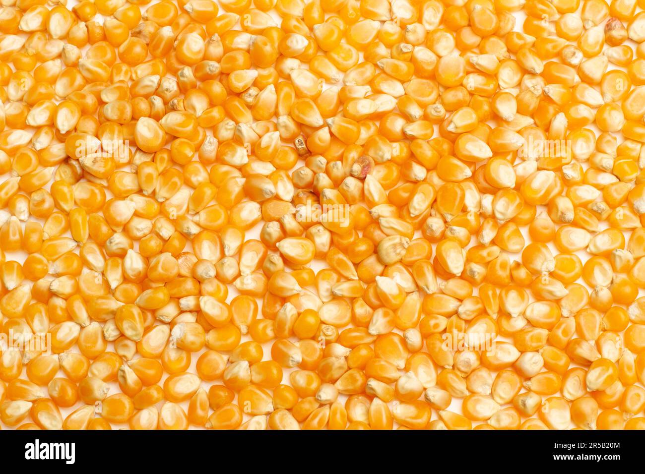 Five kernels hi-res stock photography and images - Alamy