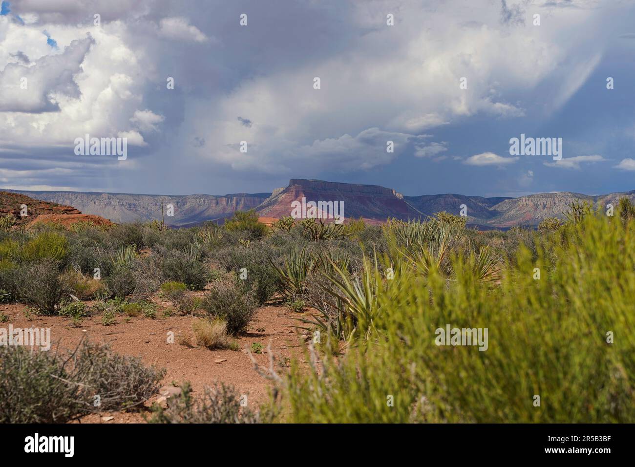 A scenic landscape of vast desert terrain and distant mountains on the ...