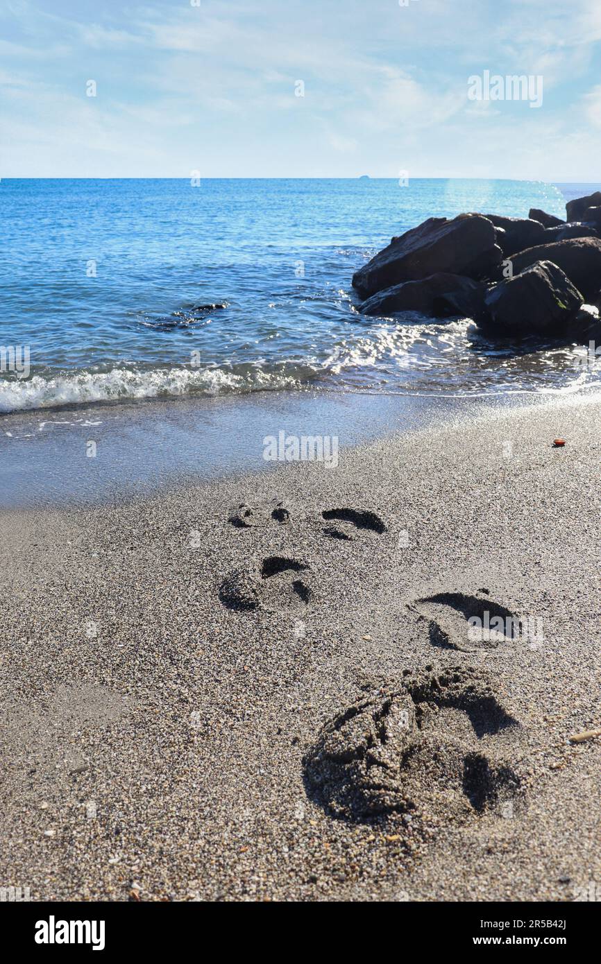 Human steps hi-res stock photography and images - Alamy