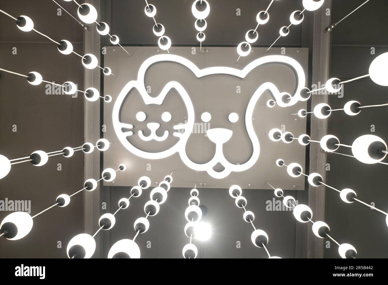 IMAGE DISTRIBUTED FOR PETCO - Located in New York City’s Union Square ...