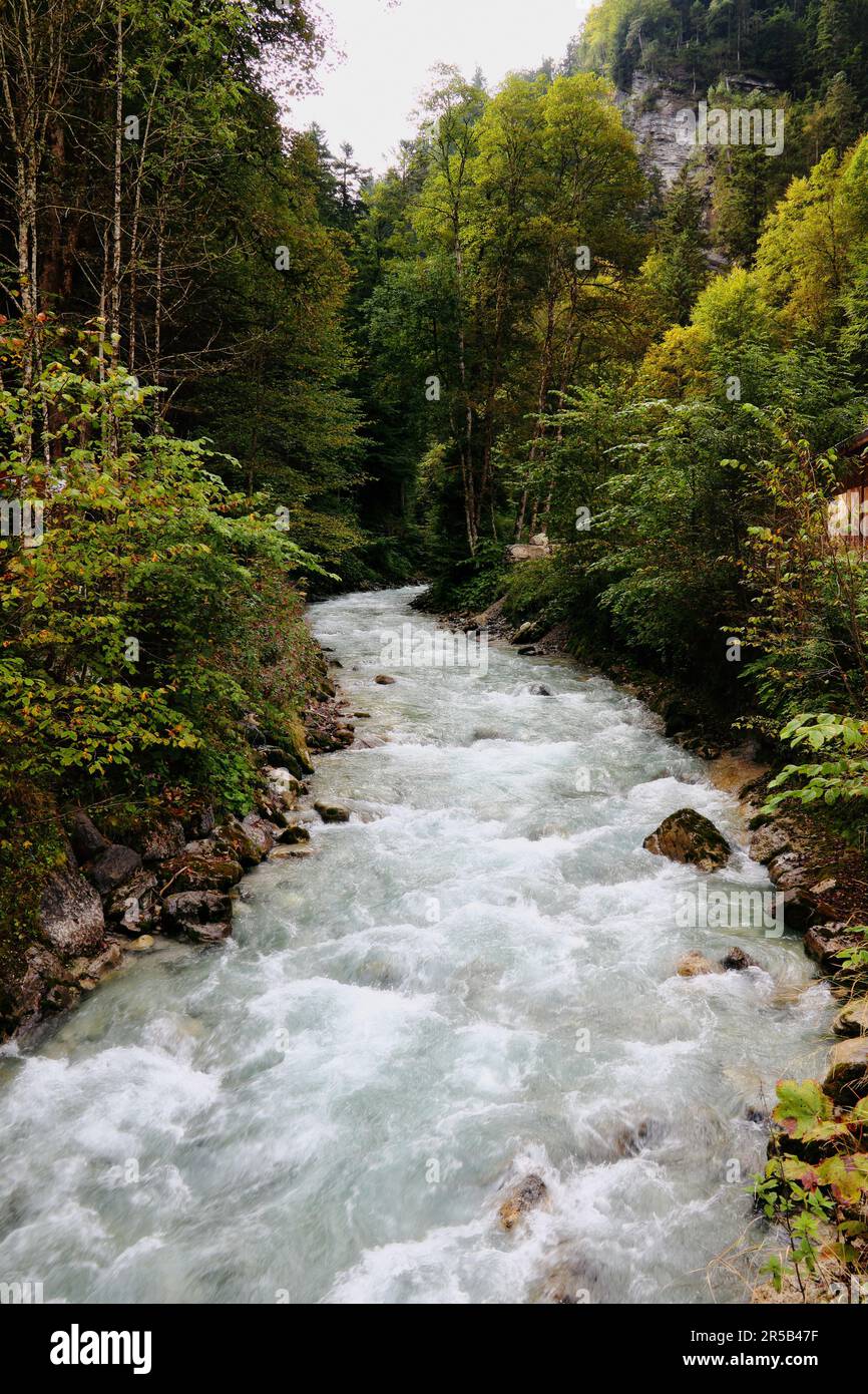 A river flowing through lush greenery. Partnach Gorge, Germany Stock ...