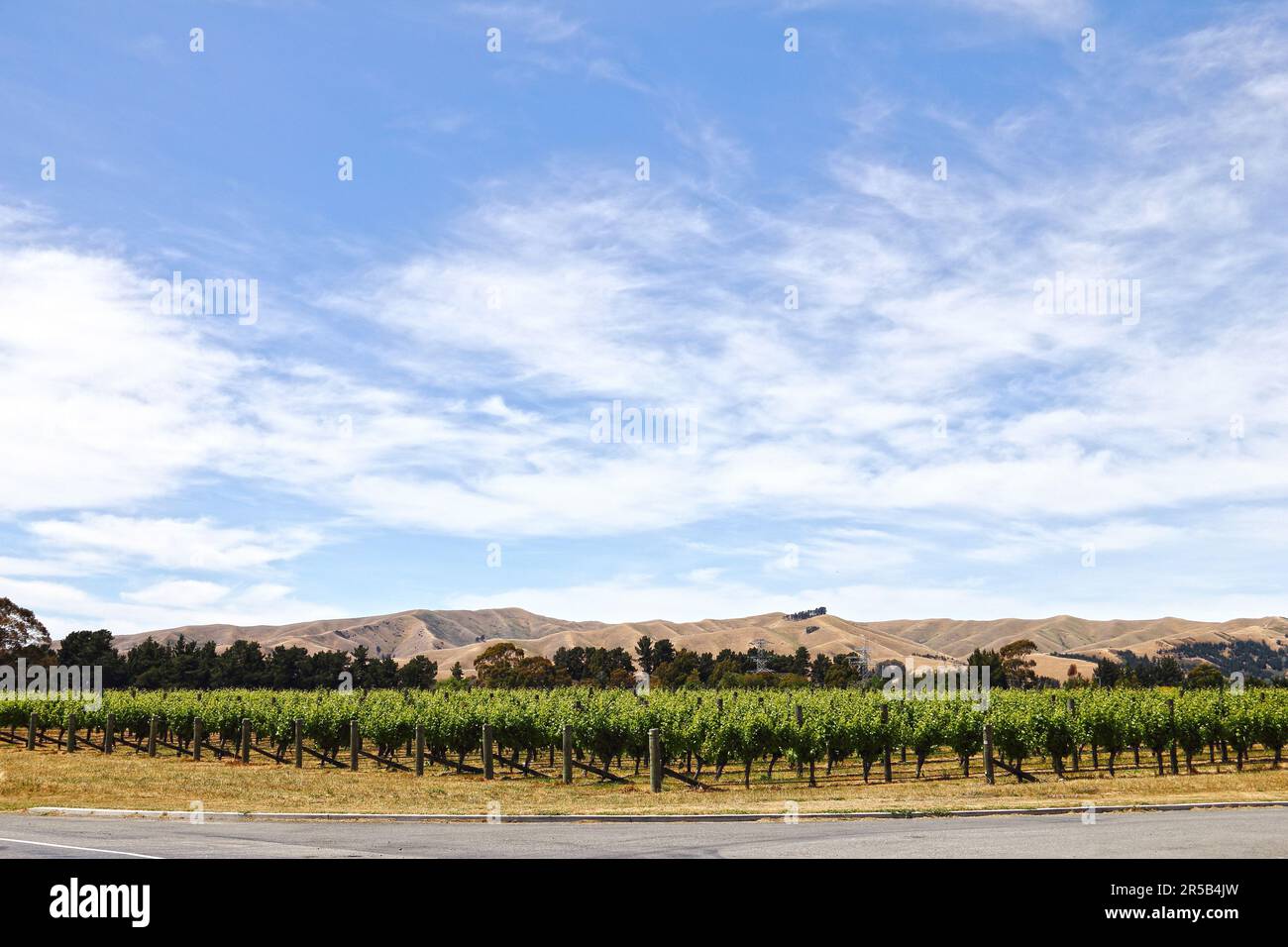 The green vineyards and hills against the backdrop of a blue sky ...
