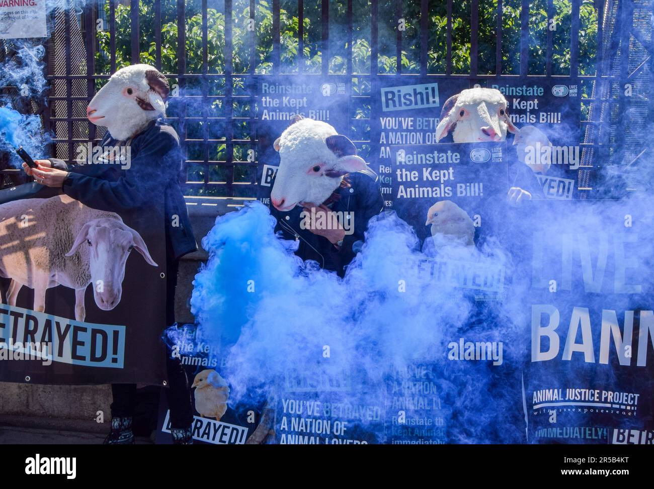 Sheep holding protest sign hi-res stock photography and images - Alamy