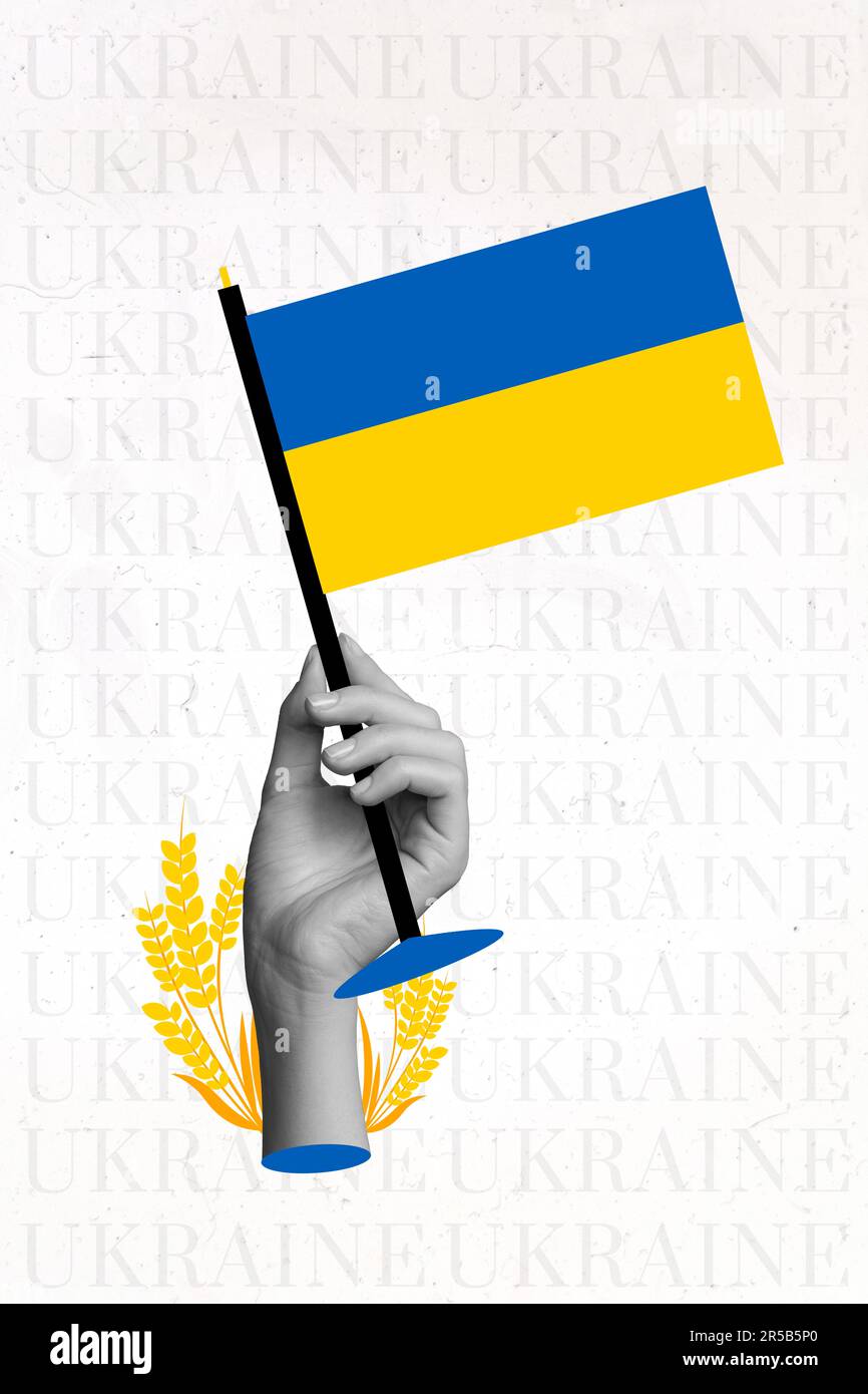 Vertical collage portrait of black white colors arm hold ukraine ...