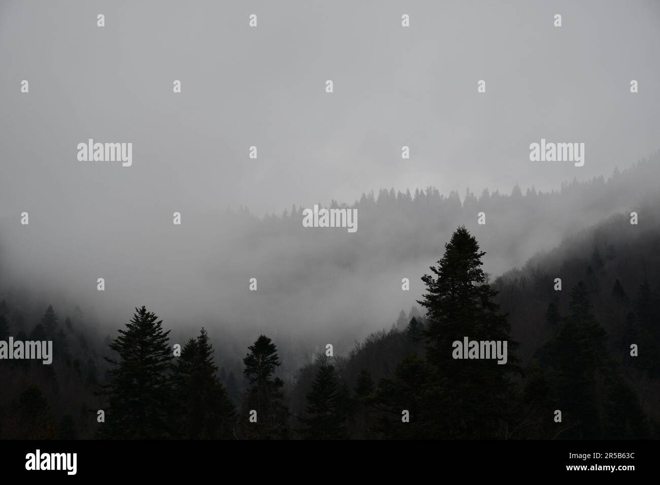 Ethereal veils hi-res stock photography and images - Alamy