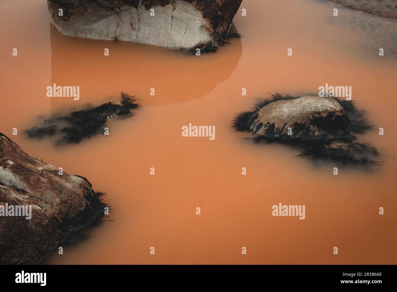 A picturesque beach scene featuring red-tinted, murky water lapping ...