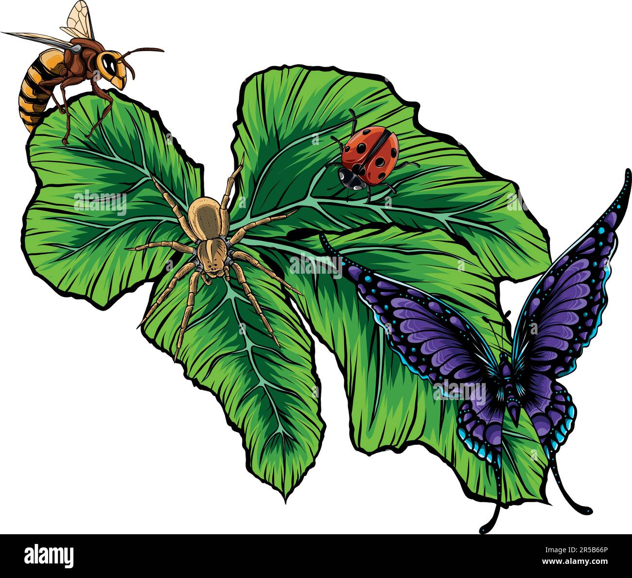 vector illustration of leaves with insect on white background Stock ...