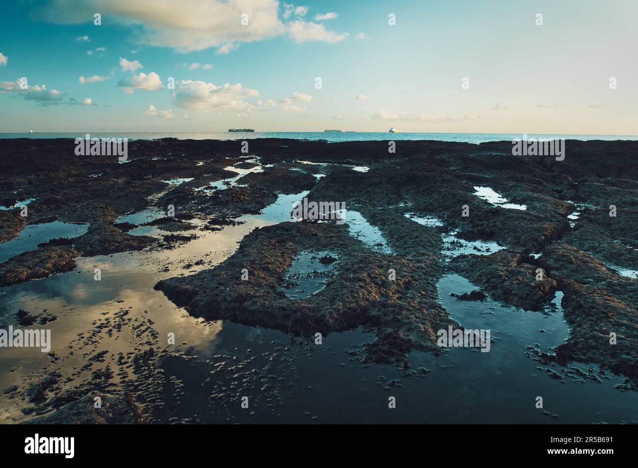 A scenic outdoor view of a dirt path with scattered rocks and puddles ...
