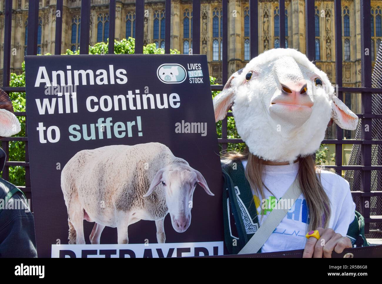 Reinstate the kept animals bill hi-res stock photography and images - Alamy