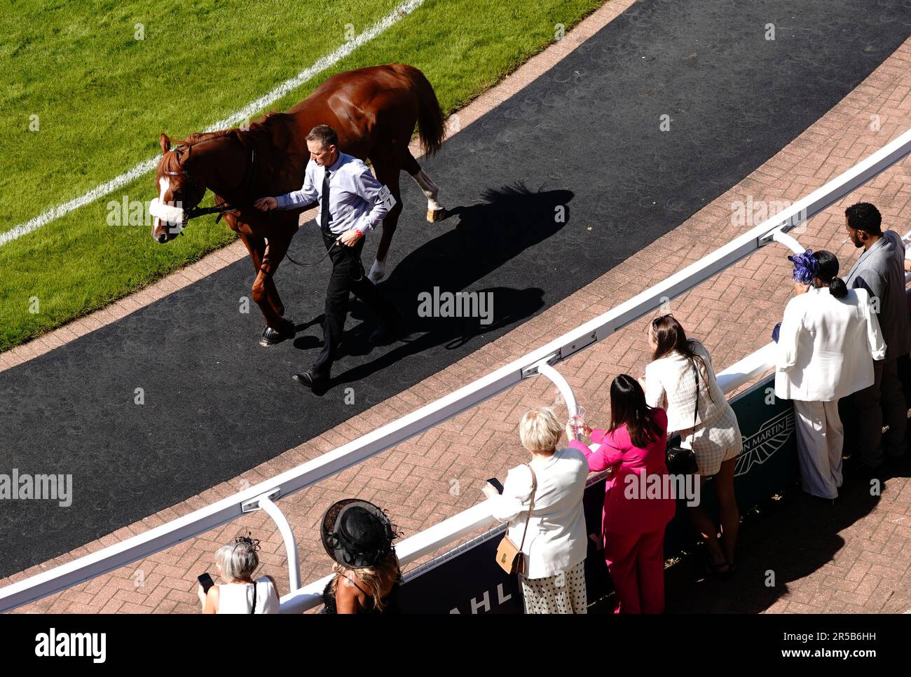 A horse is led around the parade ring during ladies day of the 2023 ...