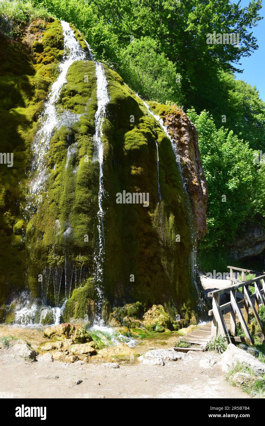 Moss Covered Waterfall during Springtime Stock Photo - Alamy