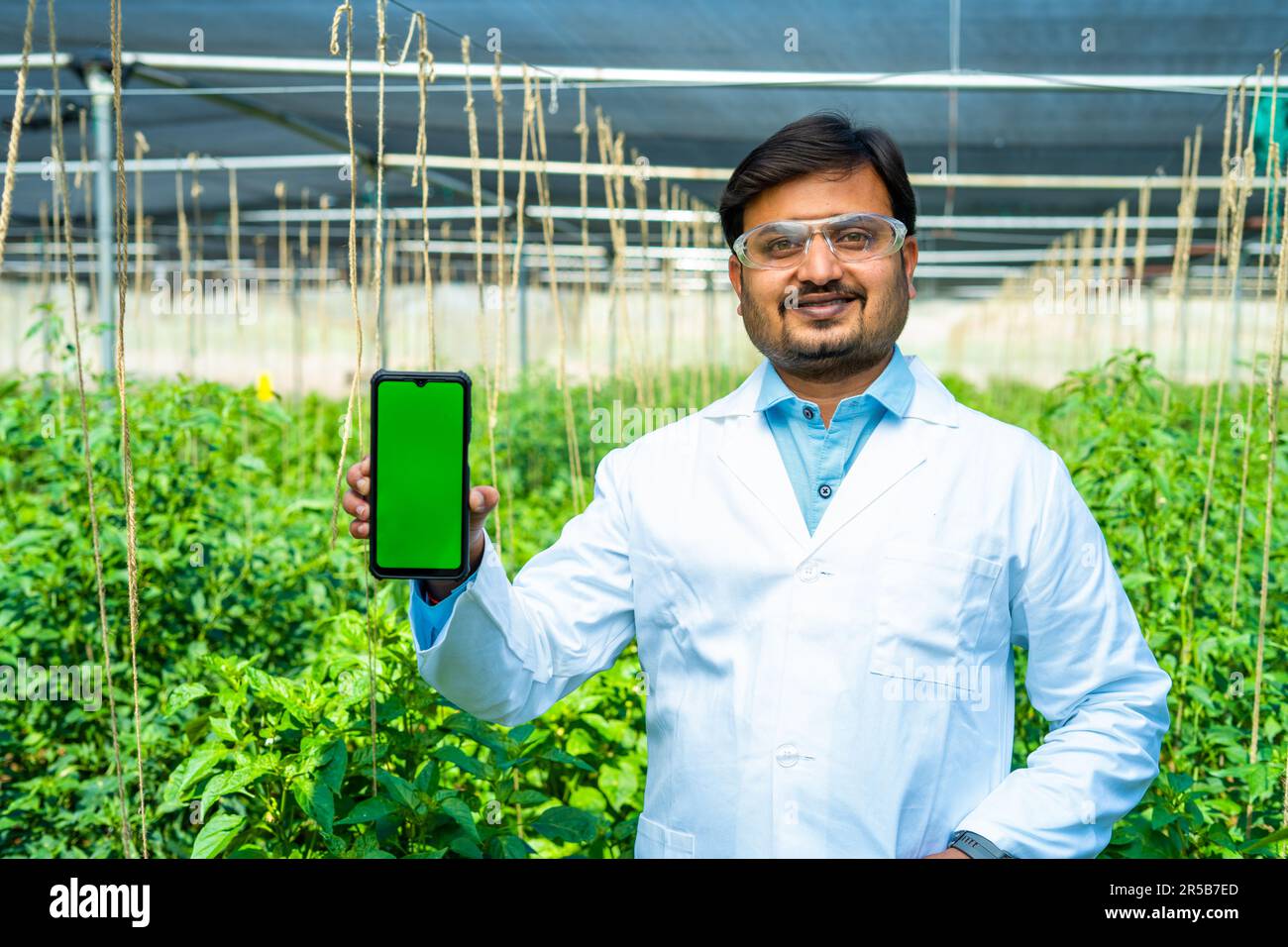 Indian agri scientist showing green screen mobile phone by looking at ...