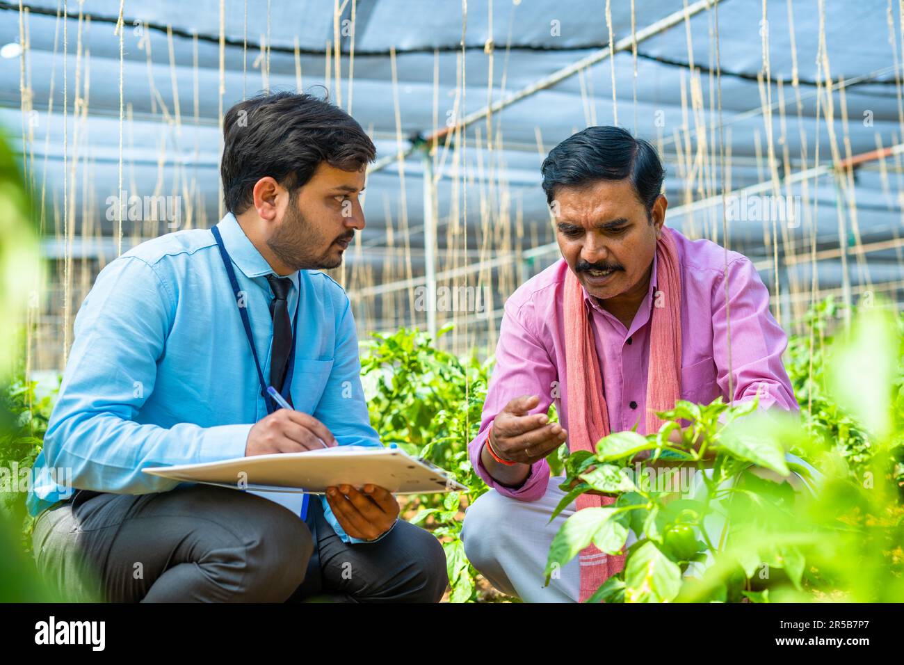 Indian officer noting down plants or crop growth by taking information ...