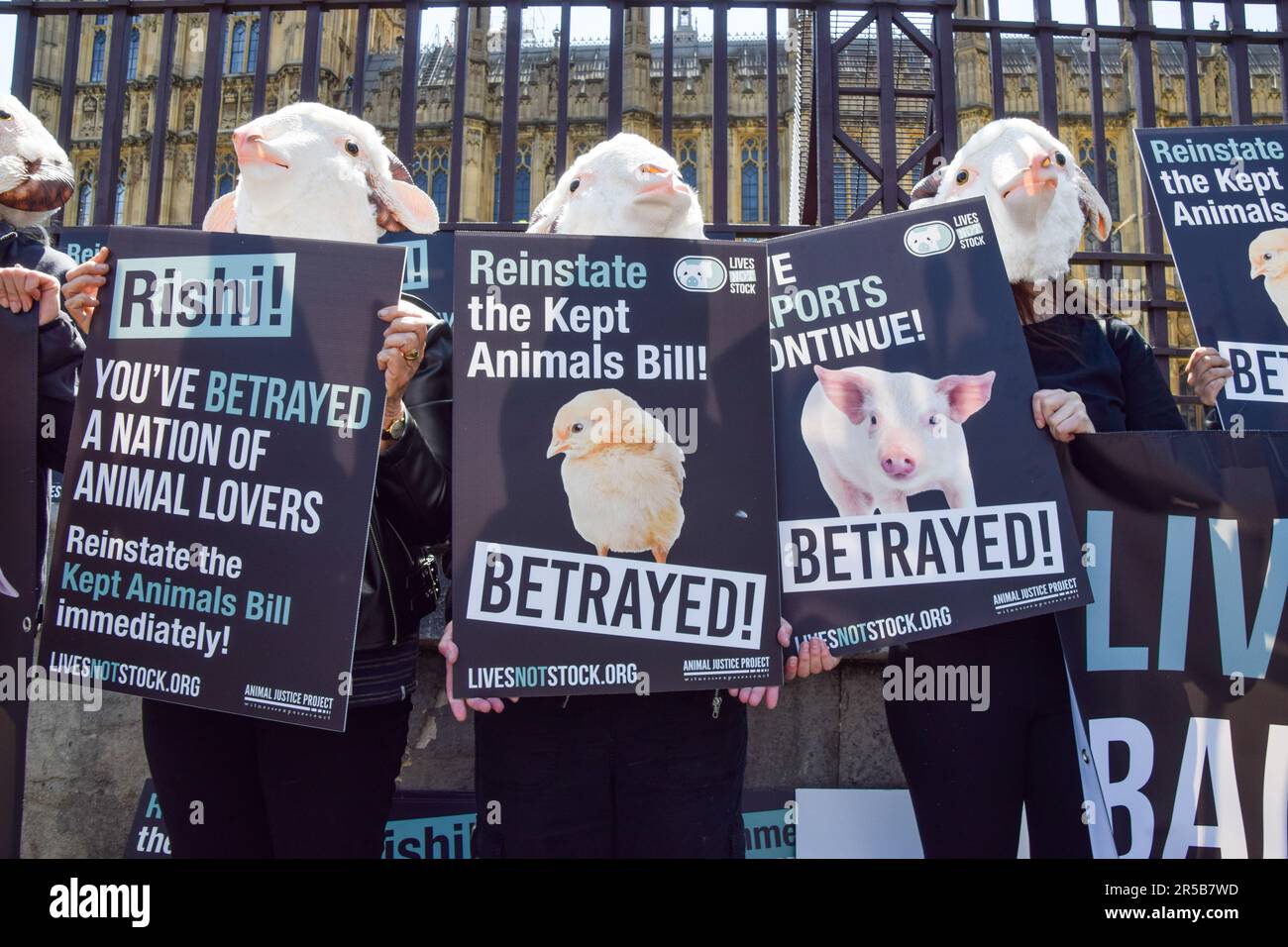 Reinstate the kept animals bill hi-res stock photography and images - Alamy